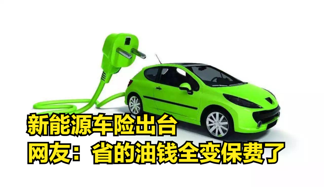 新能源车险出台,特斯拉保费涨超80%,网友:省的油钱全变保费了