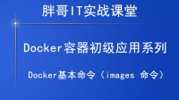 Docker基本命令(images 命令)上,你学会了吗?