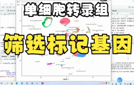 SCS【8】单细胞转录组之筛选标记基因 (Monocle 3)