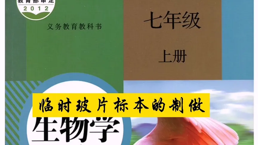 临时玻片标本的制做——初中生物实验探究视频