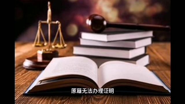 #医疗事故律师 民事诉讼代理人资格