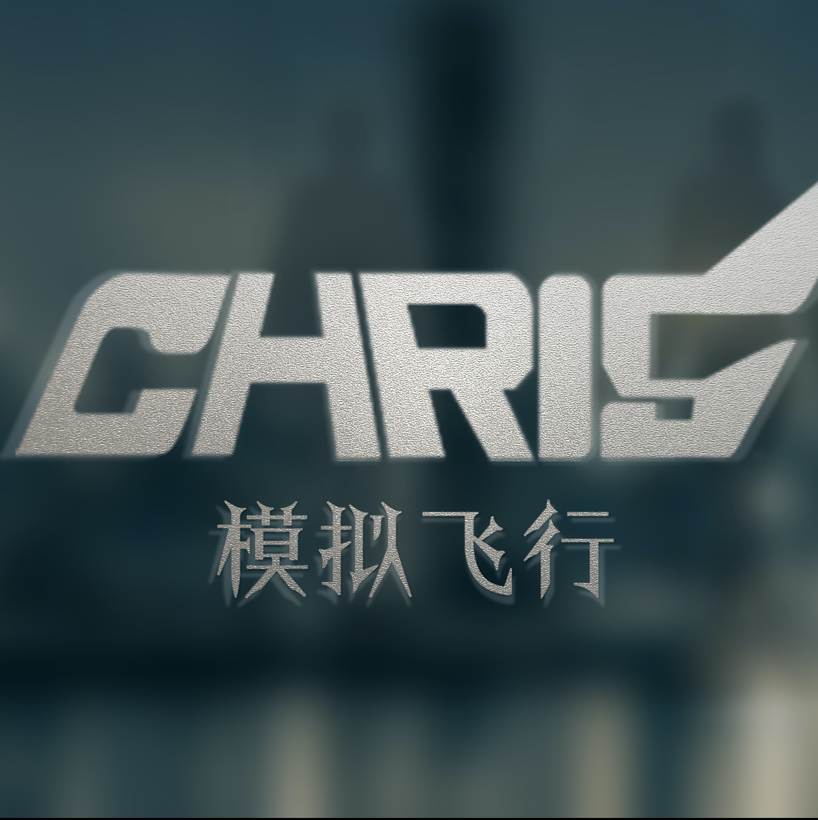 Chris模拟飞行 