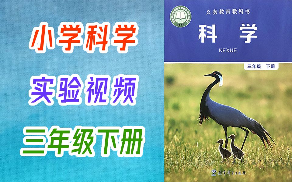 小学科学 教科版 三年级下册 科学实录 实验视频 含课件