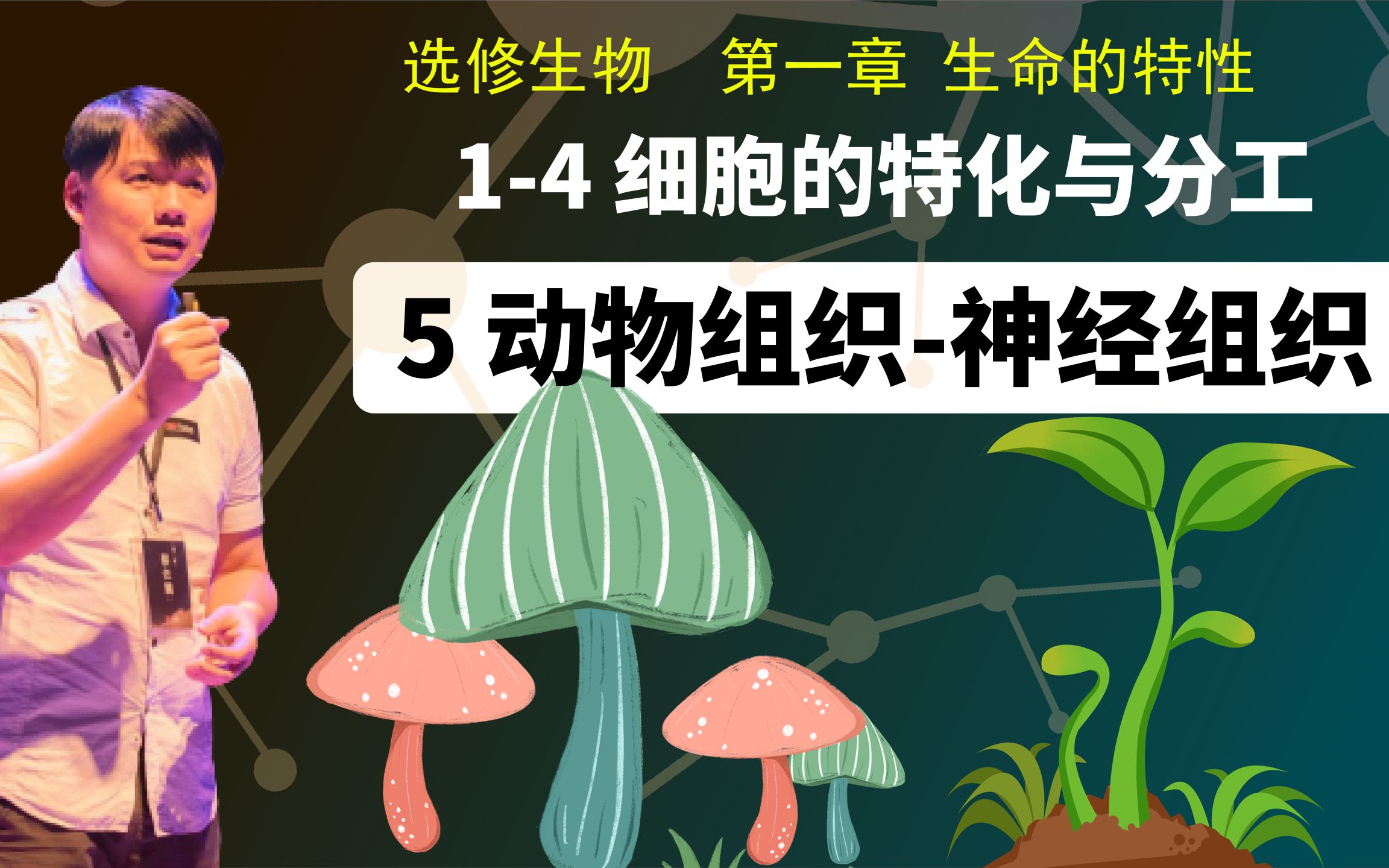 选修生物1-4.5 动物组织-神经组织