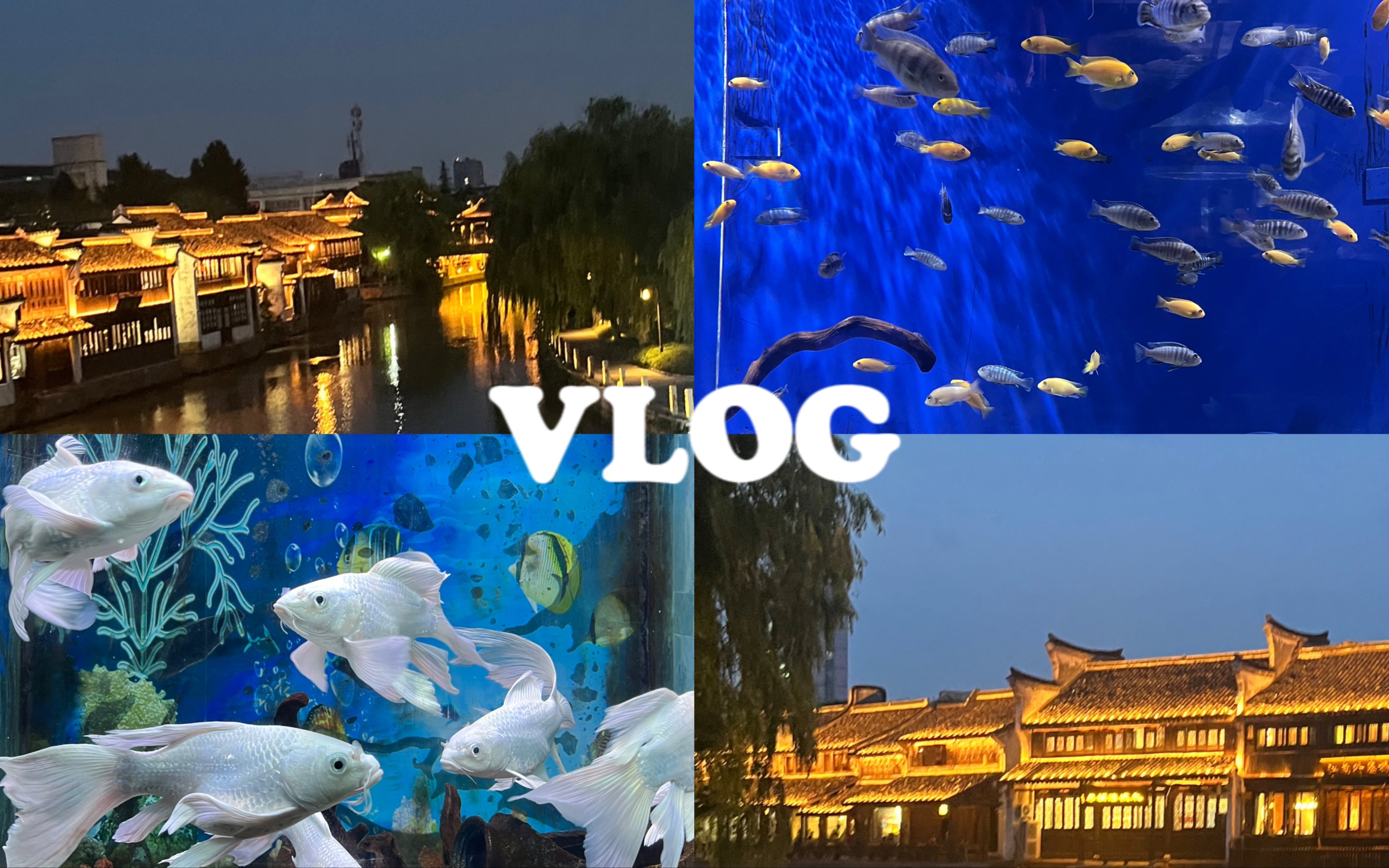 【日常生活记录】Vlog#2 假期出游计划>>坚持运动>>浙江义乌嘉兴...