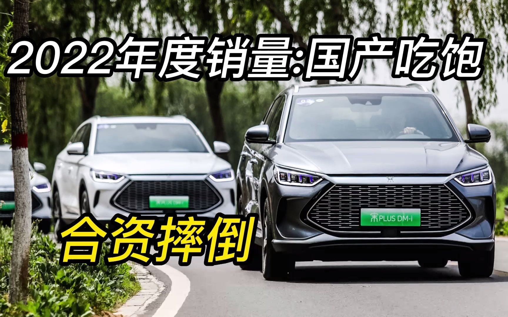 2022年中国年度汽车销量榜单:国产吃饱,合资摔倒