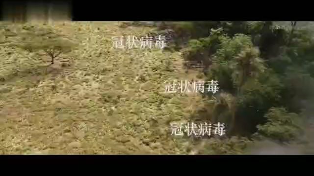 这就是捕杀和食用野生动物的下场和新型肺炎是一样的看看吧