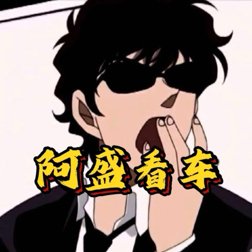 阿盛看车 