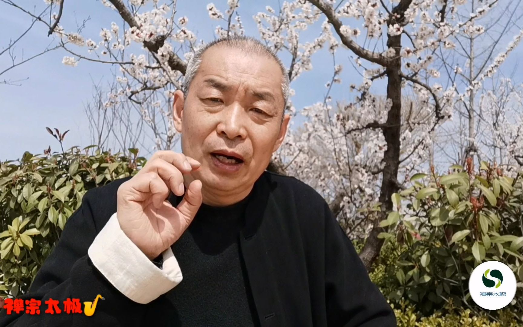 太极拳的最大误区与最高境界:周身透空,知己知彼,练意不练力!