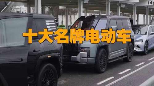 揭秘!十大电动车品牌真实排名,谁才是性价比之王?