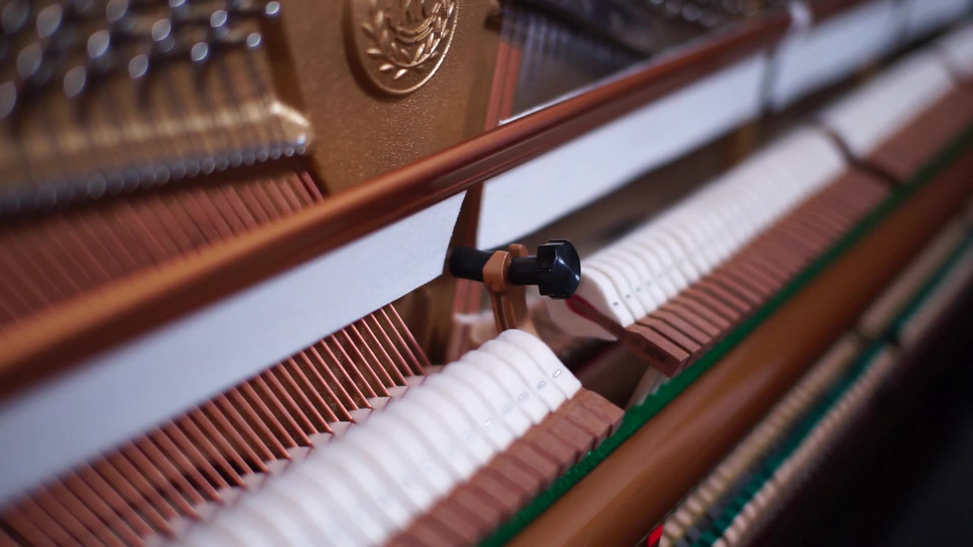 不同麦克风录制效果对比