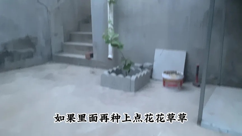 给猕猴桃公树扩建一下生长空间 全家齐上阵