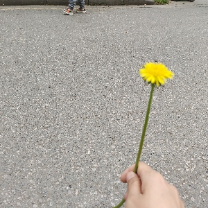 小她aa 