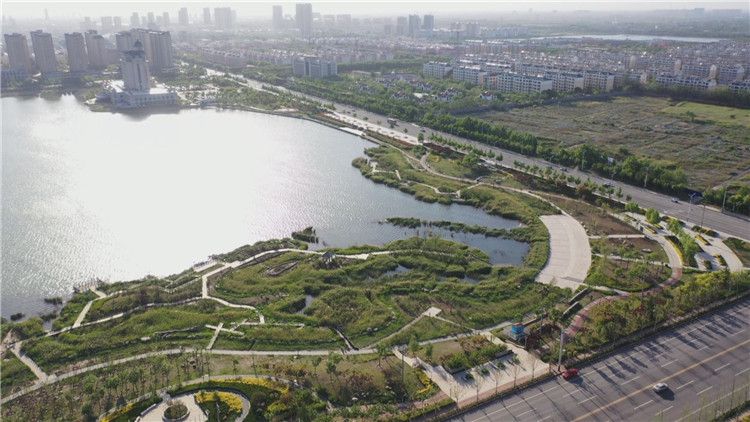 64秒丨滨州市滨城区:全力打造精品绿化景观 提升居民幸福指数