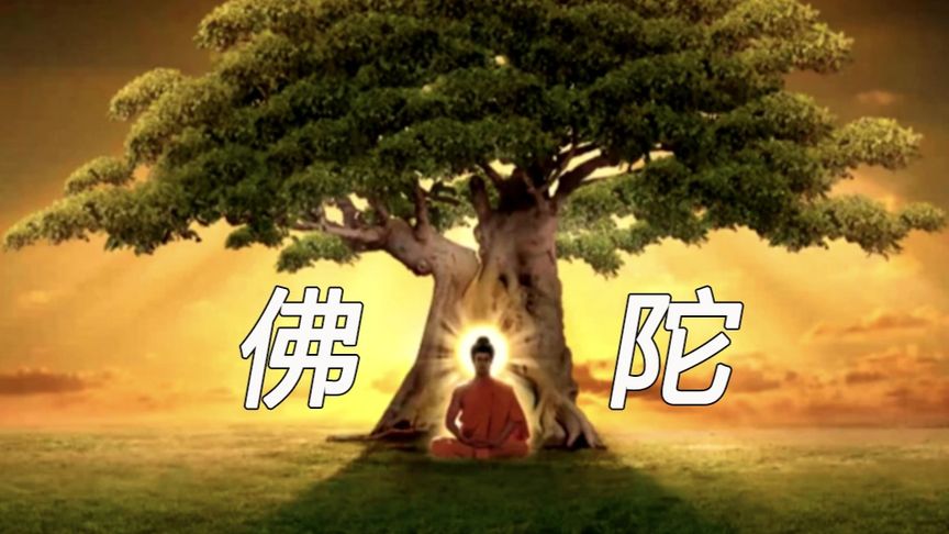 佛陀(55)#佛陀传 #印度电影推荐 #释迦牟尼佛 #藏语译制片