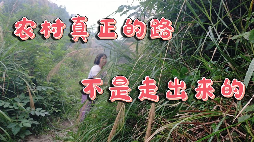 农村真正的路不是走出来的,每一个劳动的瞬间,都意义非凡