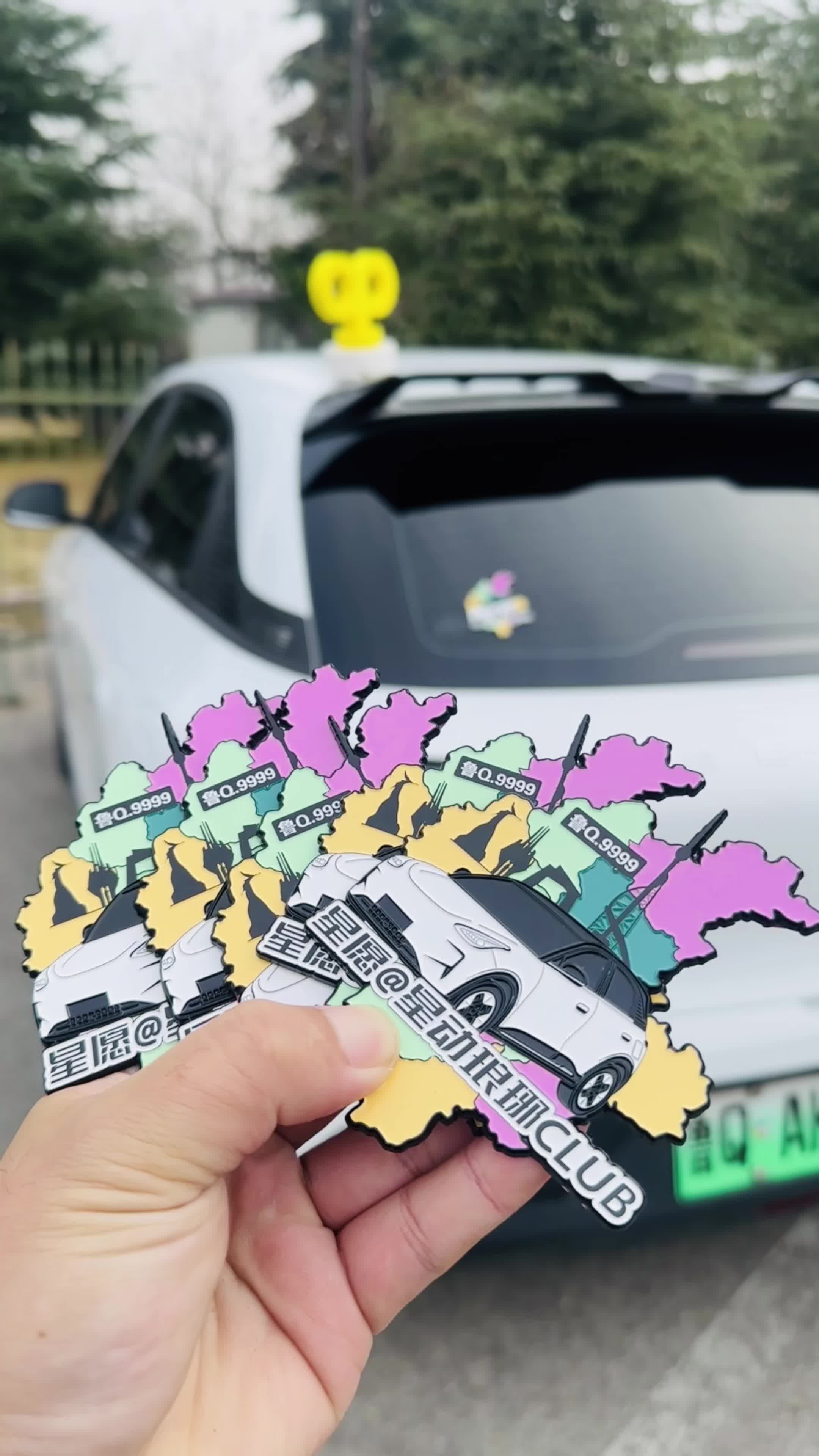 临沂吉利星愿车友会会标已制作完成,还没有进组织的速度来#星动琅琊...