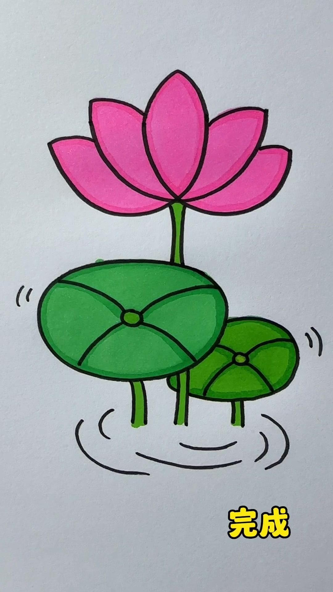 三个C简单画荷花