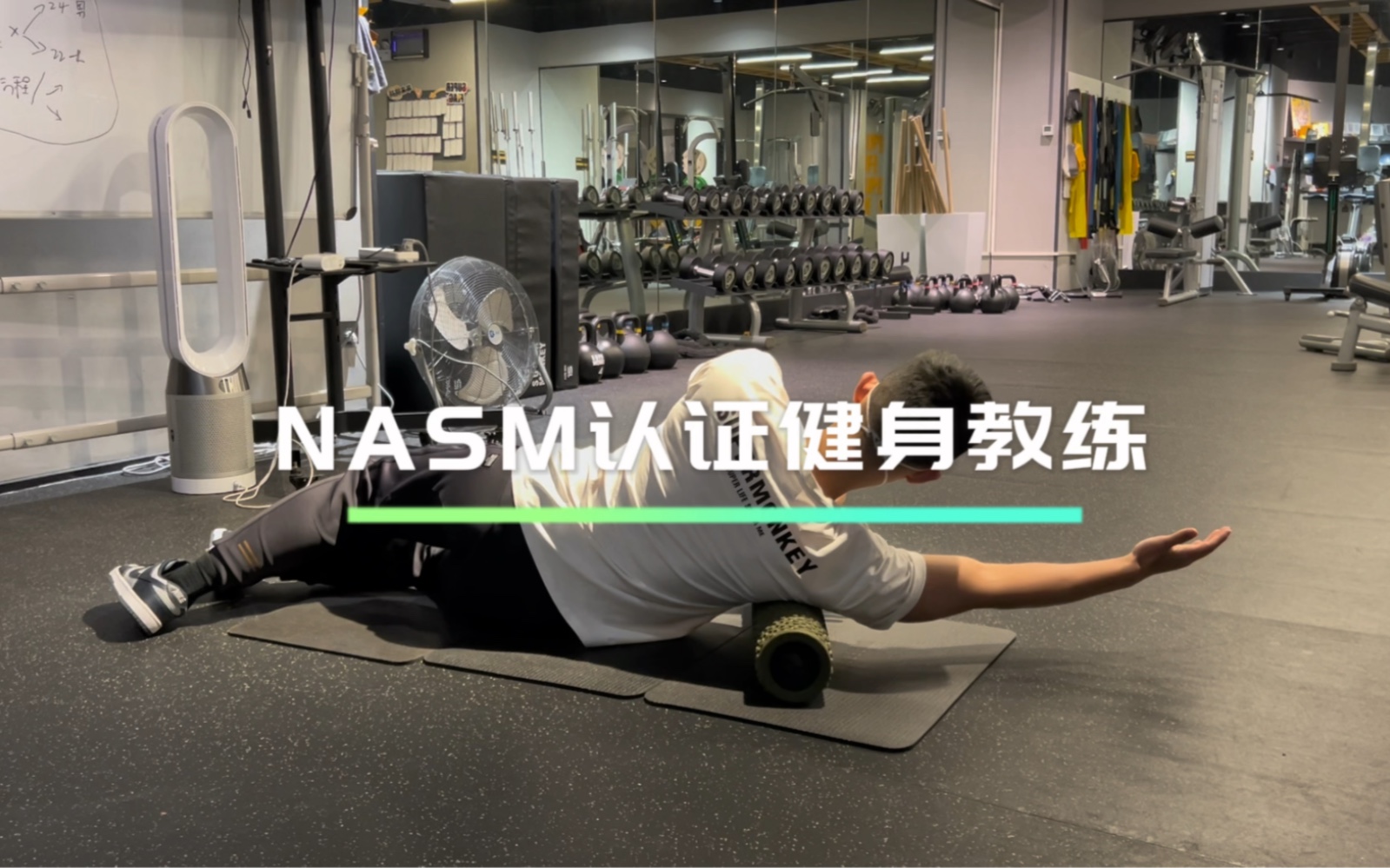 今天带大家体验一节完整的NASM训练体系opt模型中的稳定性训练...