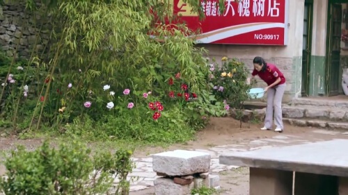 马向阳下乡记:地界纷争,真相待揭!