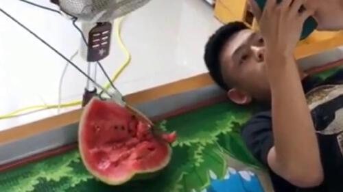 风扇还能成自动喂食装置?看清小伙用法后,电扇:我都不知道我自己这么...