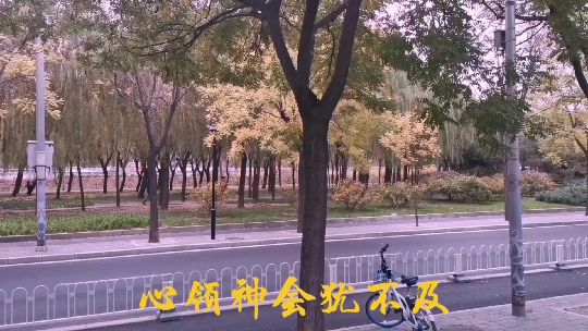 自驾游,轿车改床车就是好,到哪都能睡的很舒服