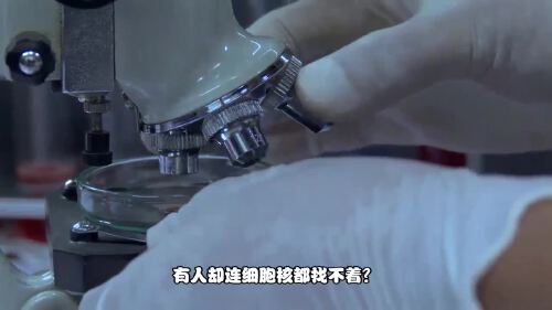 显微镜下的生命密码:细胞观察终极指南