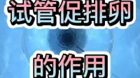 试管促排卵的作用是什么呢?#试管 #试管之路 #试管婴儿 #试管妈妈