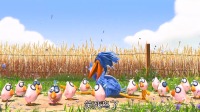 奥斯卡最佳动画短片《鸟鸟鸟》