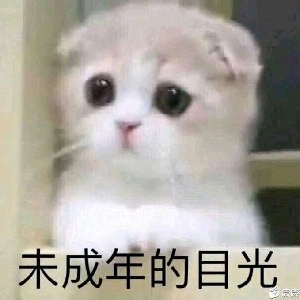 刘思明l 