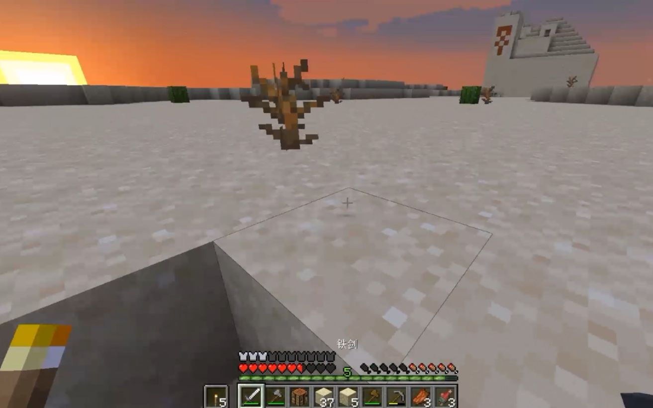 我的世界沙漠浮空岛生存一周目,教你没树的情况下生存,声音催眠