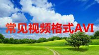常见视频格式AVI
