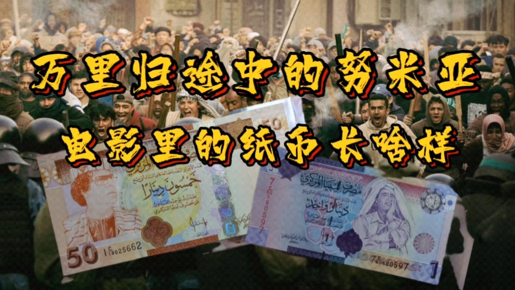 【万里归途】电影中努米亚的纸币长啥样——利比亚2009版1&50...