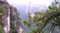 音画欣赏张家界雨天风光 看群山云遮雾障仅露尖 疑是中国画山水入景...