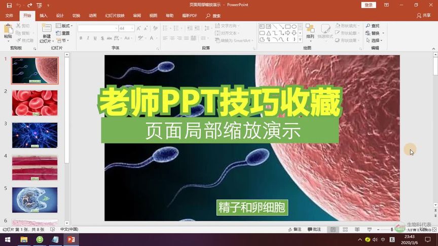 老师PPT技巧收藏:页面局部缩放演示