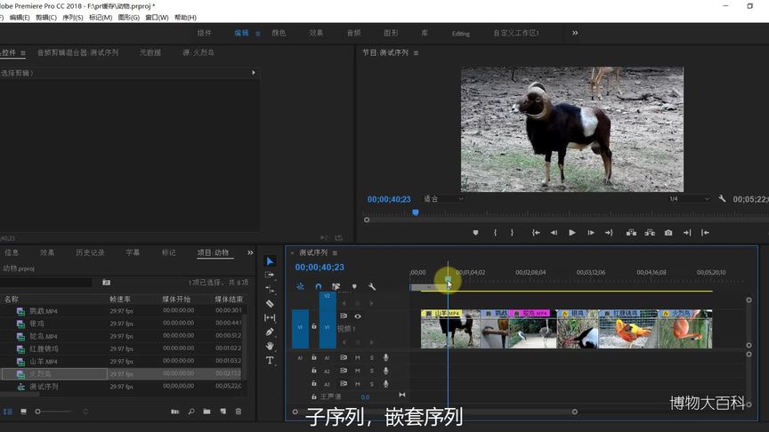 15-pr教程-子序列,嵌套序列,缩放为帧大小,设为帧大小