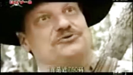 世界武器集锦 狙击步枪