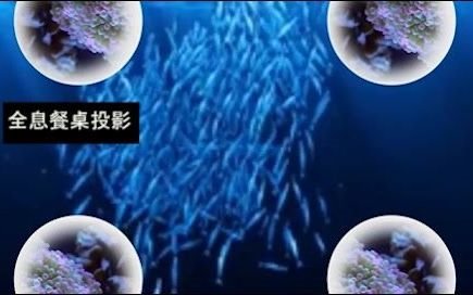 数字化多媒体投影片源 3D全息餐桌桌面海底世界主题画面投影视频