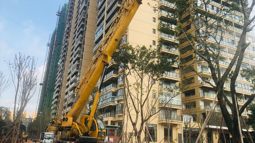 公园看超长机械臂高空吊树种植,减少人工搬运及对树木的损伤
