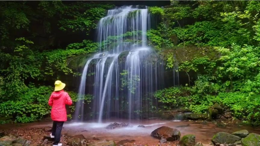 碧峰峡林木葱郁,苍翠欲滴,峰峦叠嶂,多类型瀑布景观,令人陶醉