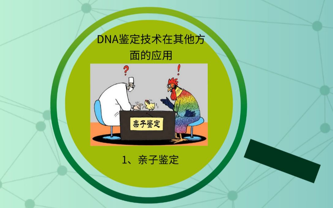 【制作演示文稿课件】DNA是生物学最伟大的发明