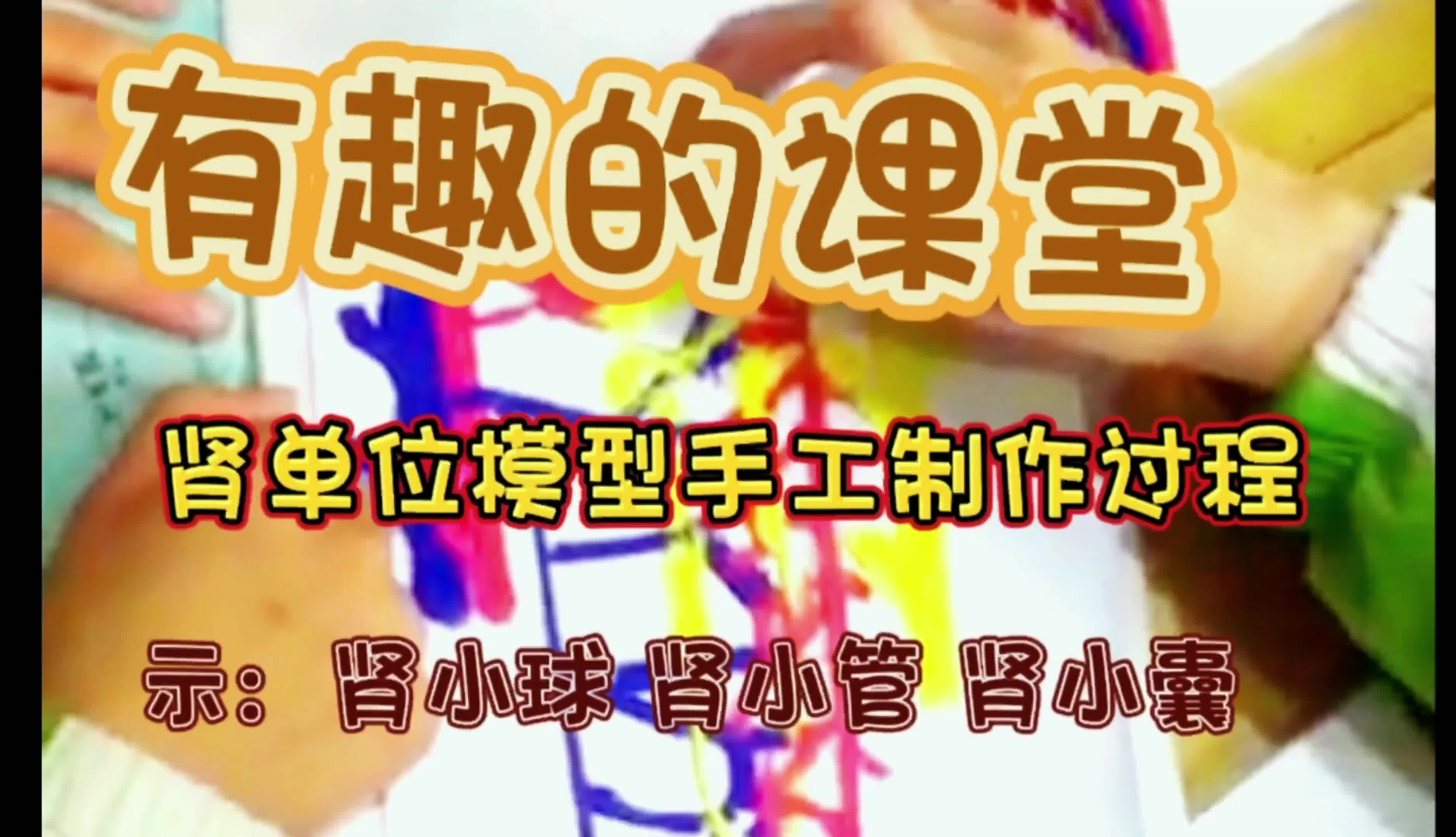 肾单位手工制作