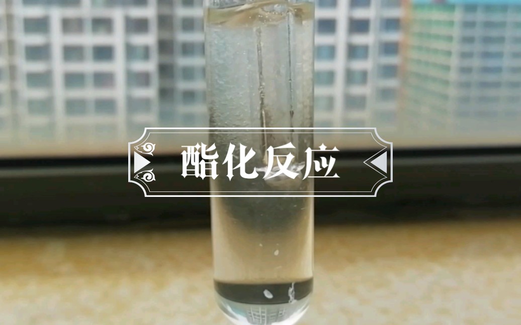 【化学实验】 酯化反应