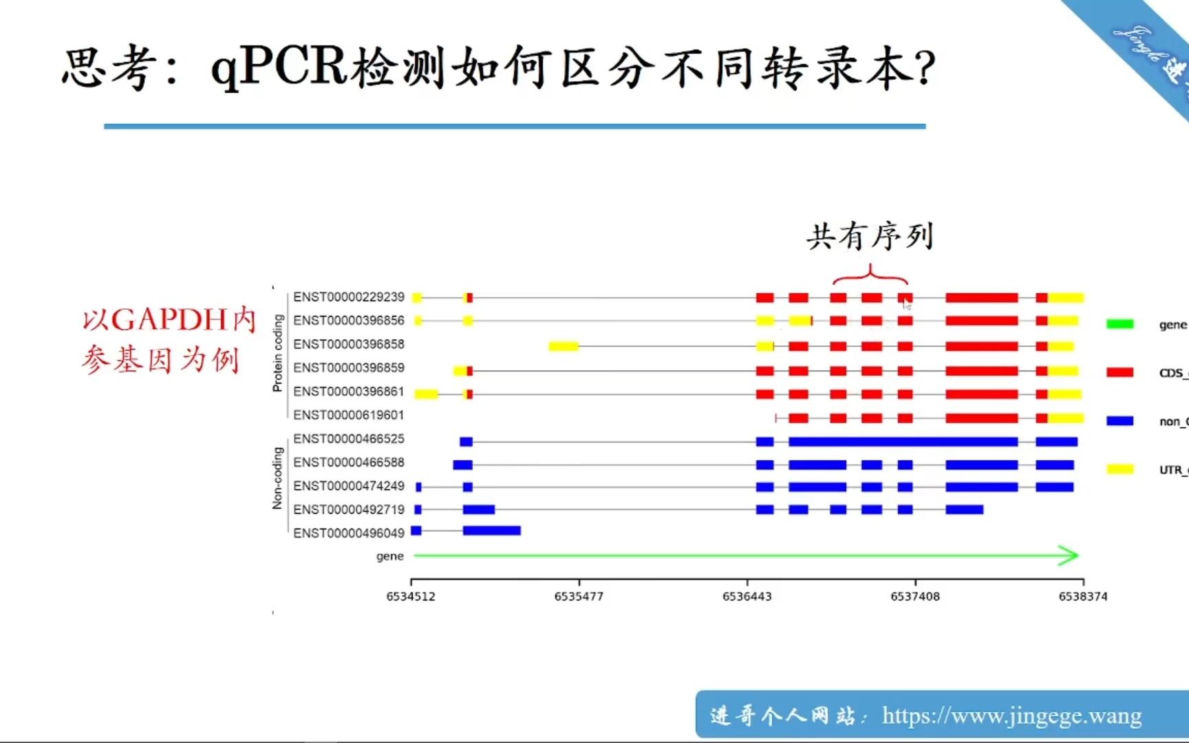 qPCR引物设计及相关注意事项 & 设计转录本特异性引物