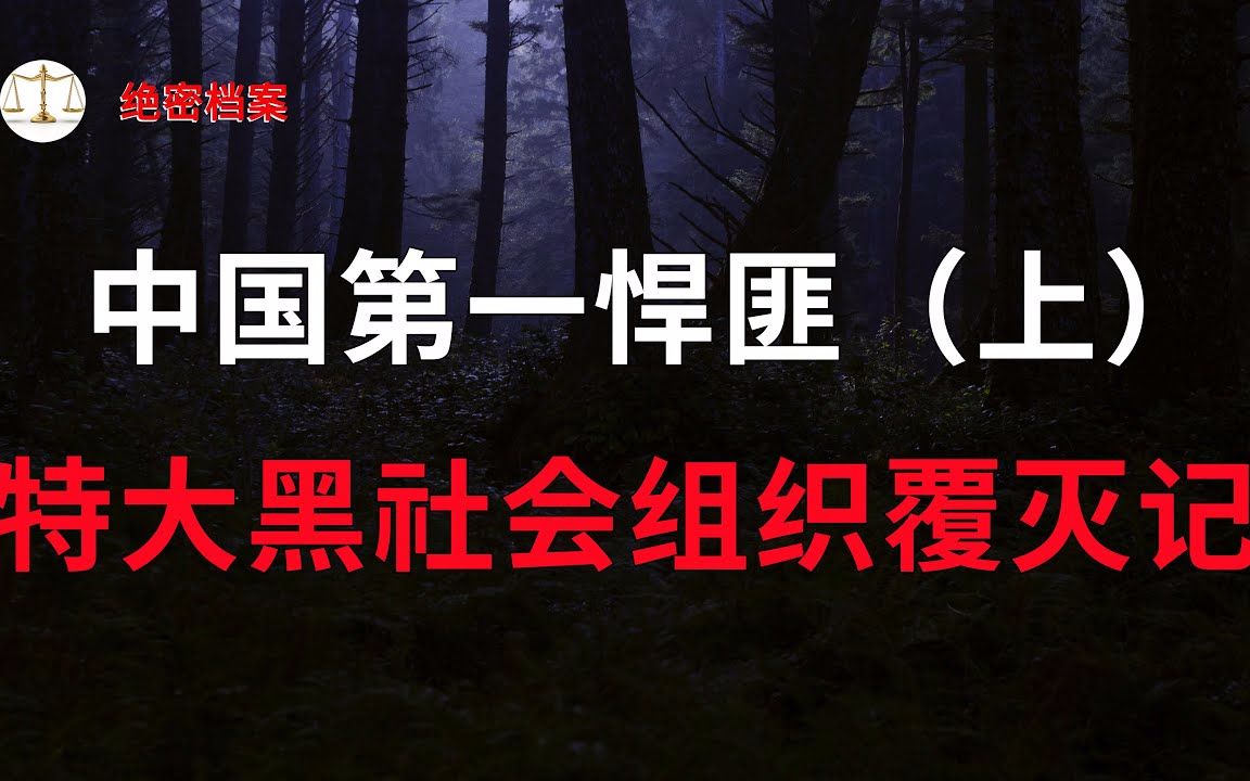 ...(上),特大黑社会组织覆灭纪实,十四名重刑犯全部死刑! - 大案要案纪实...