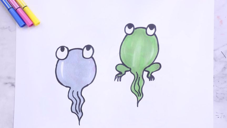 蝌蚪简笔画怎么画