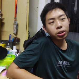 记录生活的红双喜 