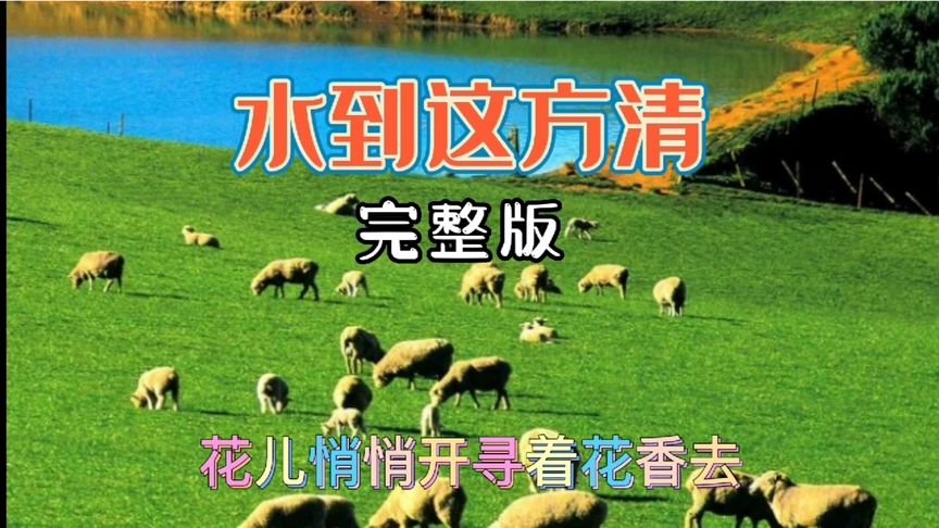 经典歌曲《水到这方清》,草到这方绿,花儿悄悄开,寻着花香去