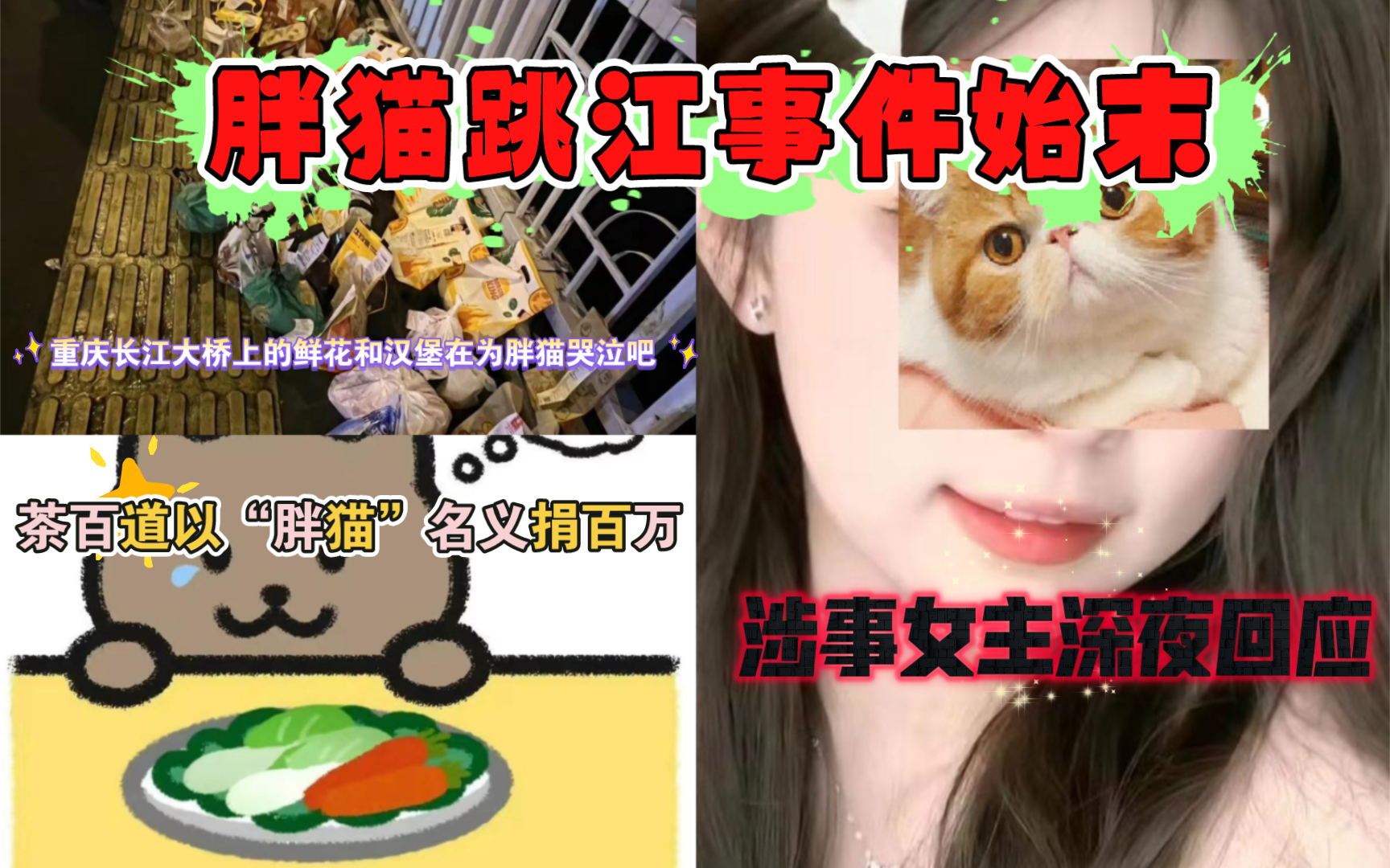 "胖猫"跳江事件始末!21岁游戏代练“胖猫”为爱跳江轻生后续,胖猫...