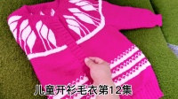 手工编织花样教程 第655集 开衫毛衣挑门襟的编织方法与技巧,方法...